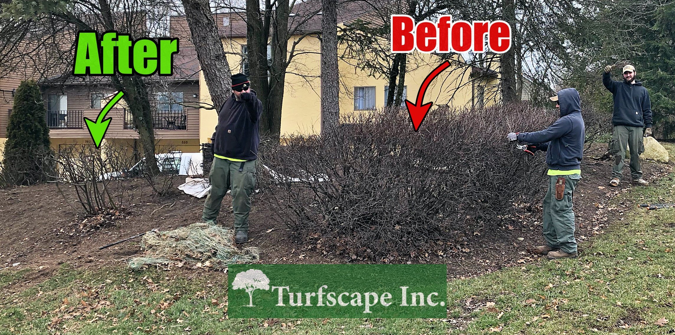 6 Benefits of Dormant Pruning in Ohio